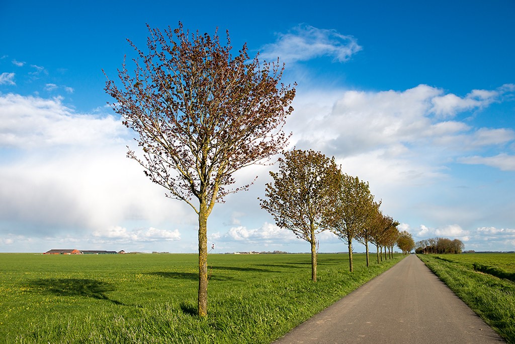Onttrekking aan de openbaarheid - Advocaatwegen